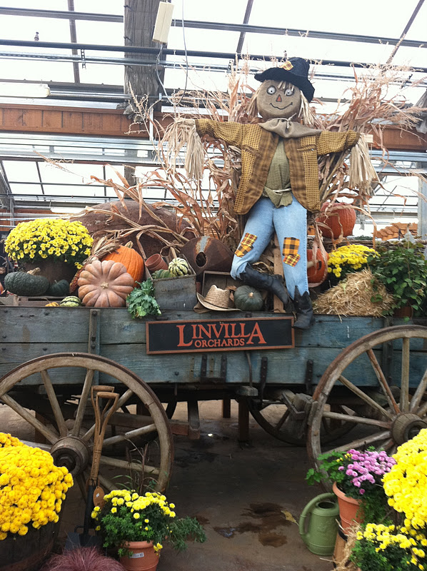 Taste & Travel: Linvilla Orchards-Media, PA
