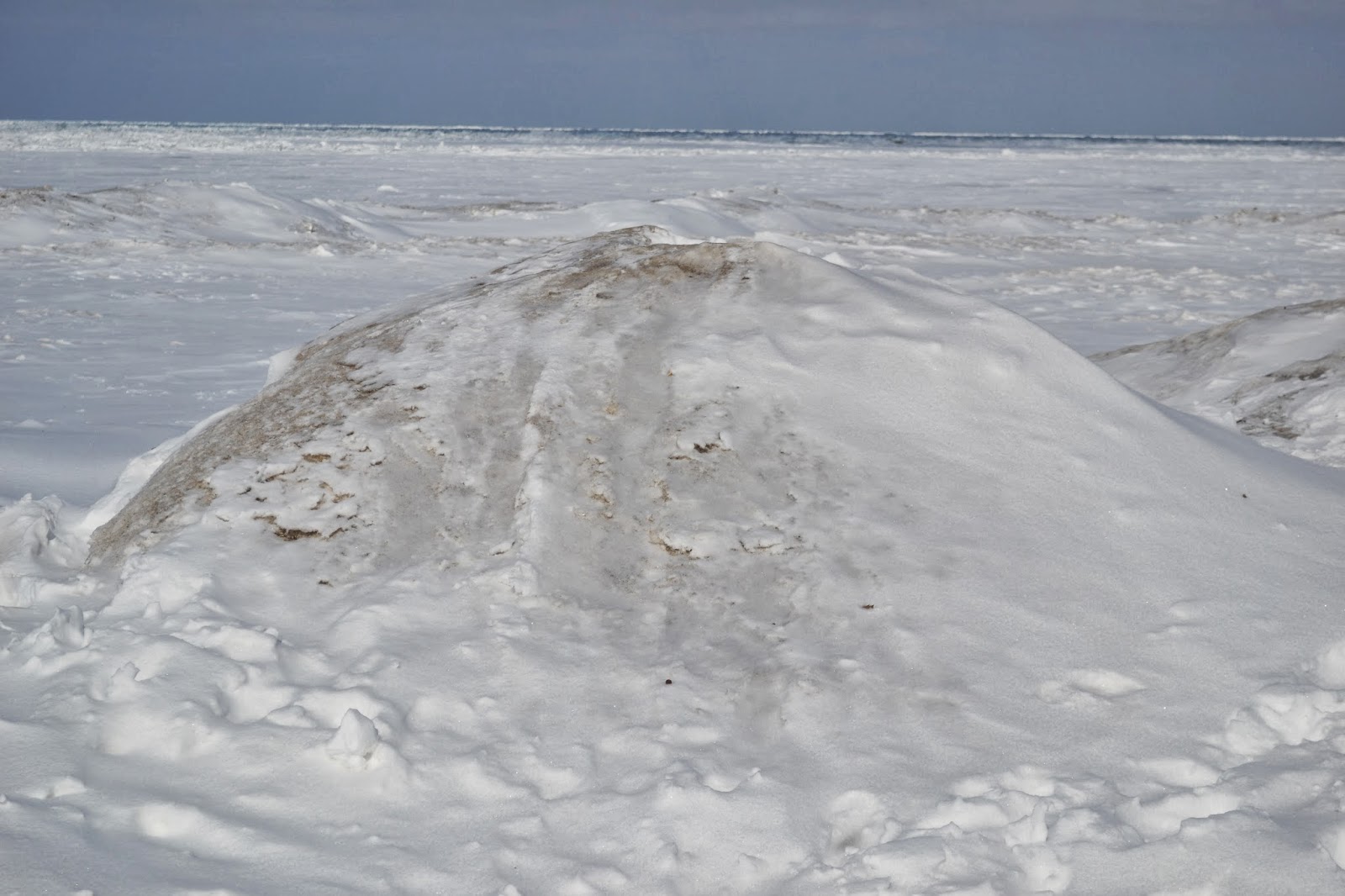 Crawling From The Wreckage: Lake Erie In Winter