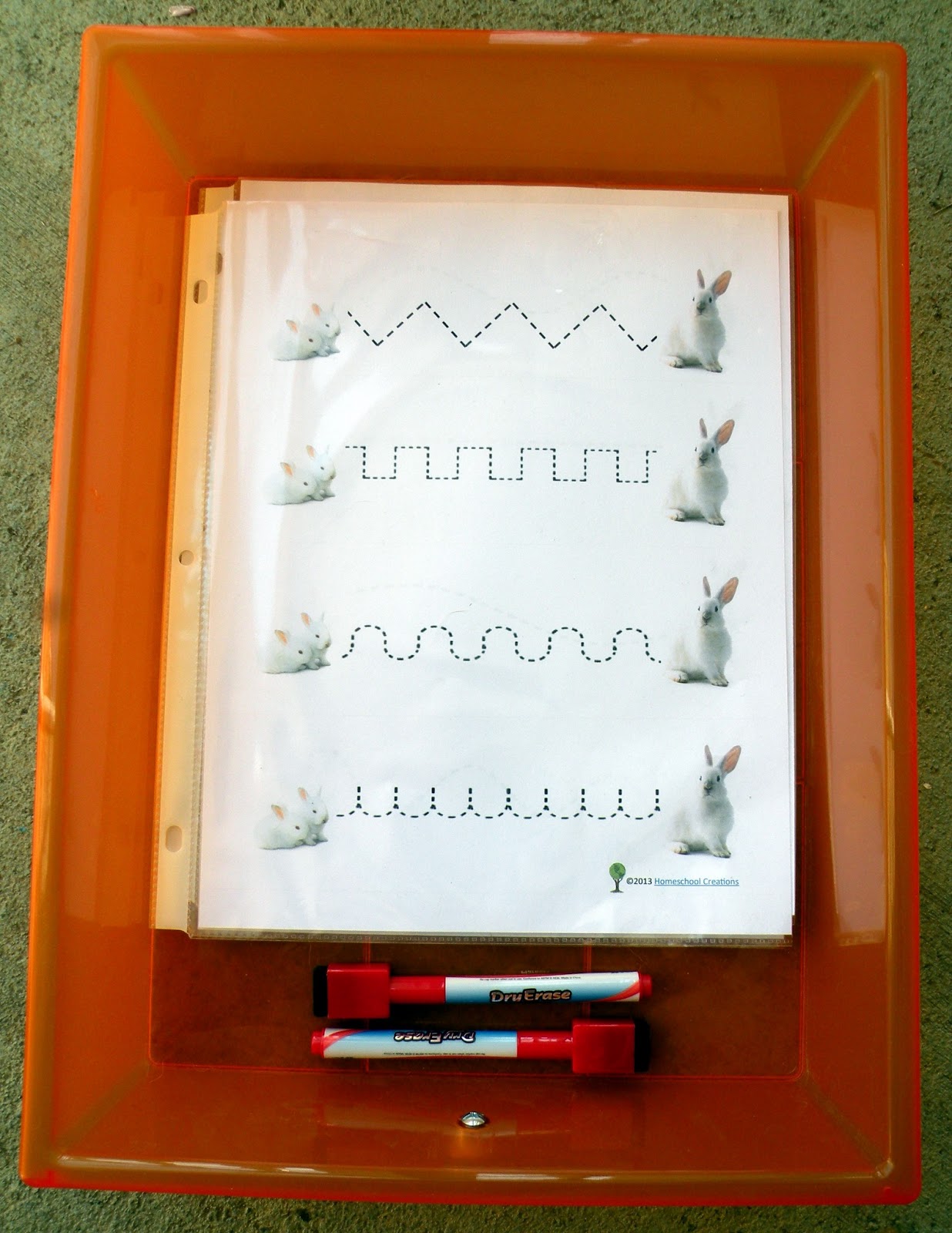 The Fantastic Five: Little Rabbit Learning