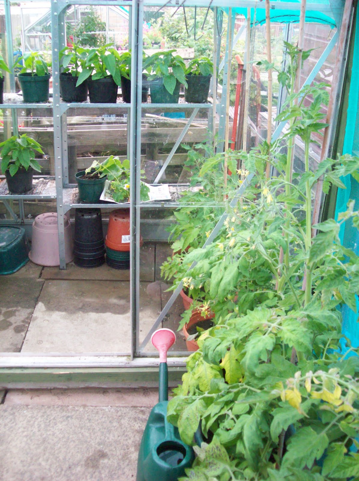 Growing Family Trees and Vegetables