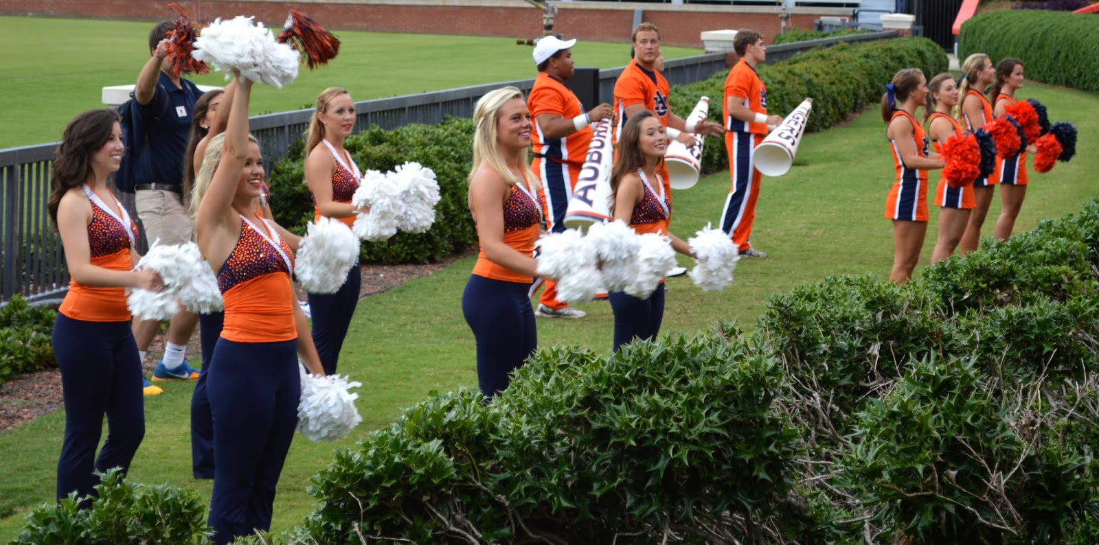 Tiger Paws Dance Team