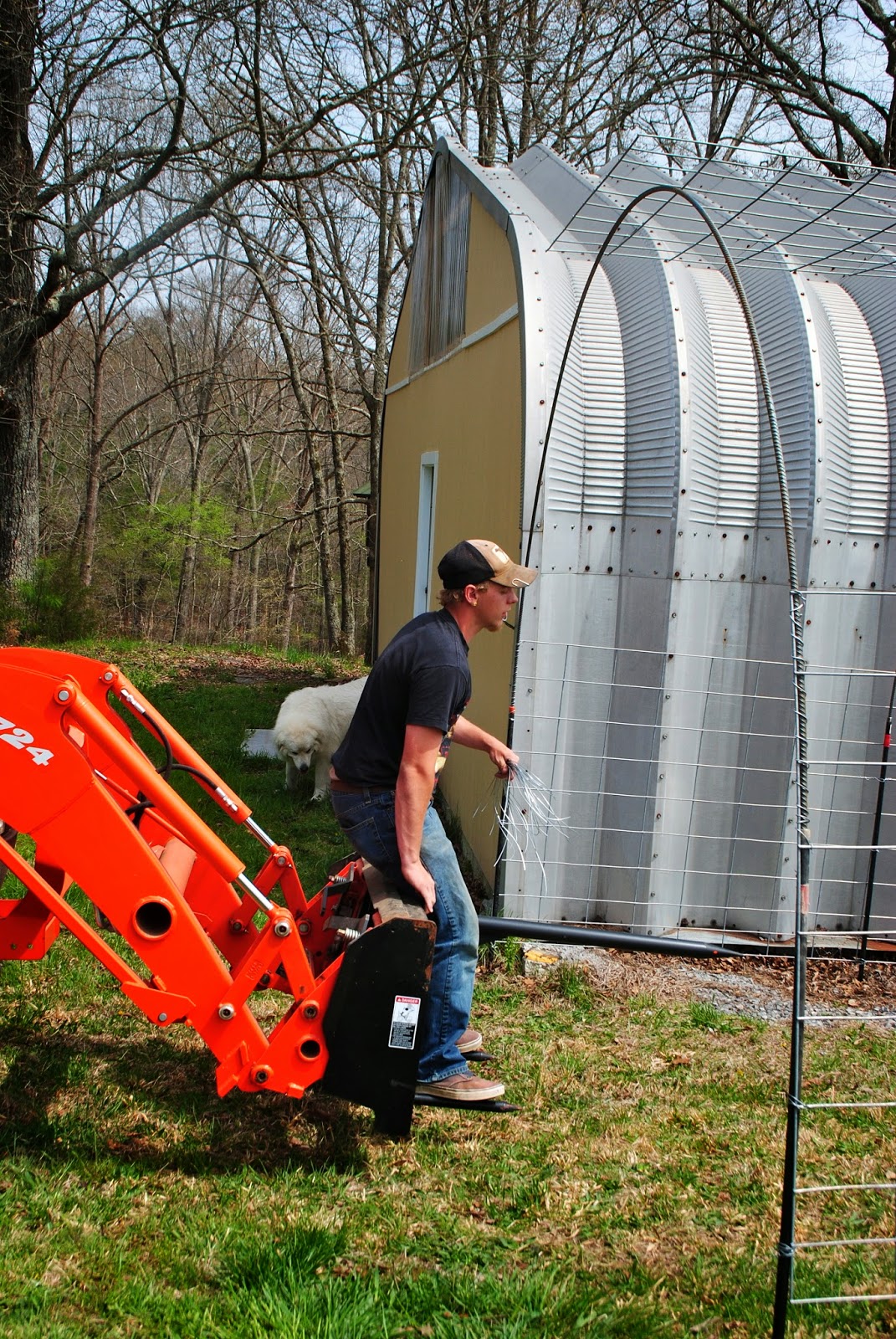 Adventures on Zephyr Hill Farm: DIY Rebar Grape Arbor