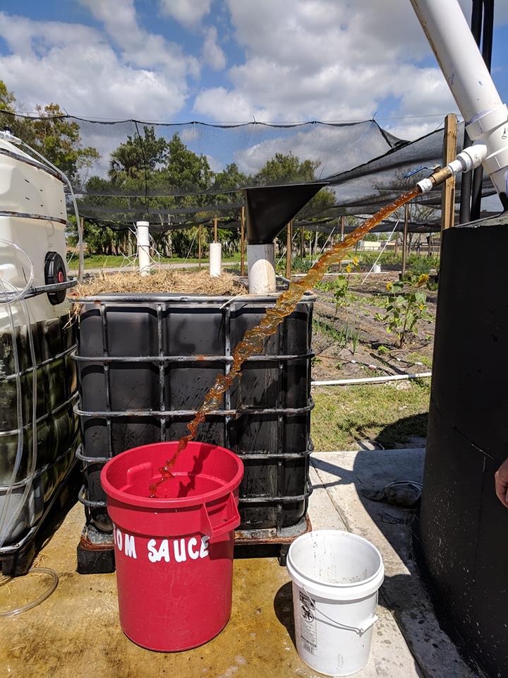 Living the Green Dream: Biodigester at Fat Beet Farm
