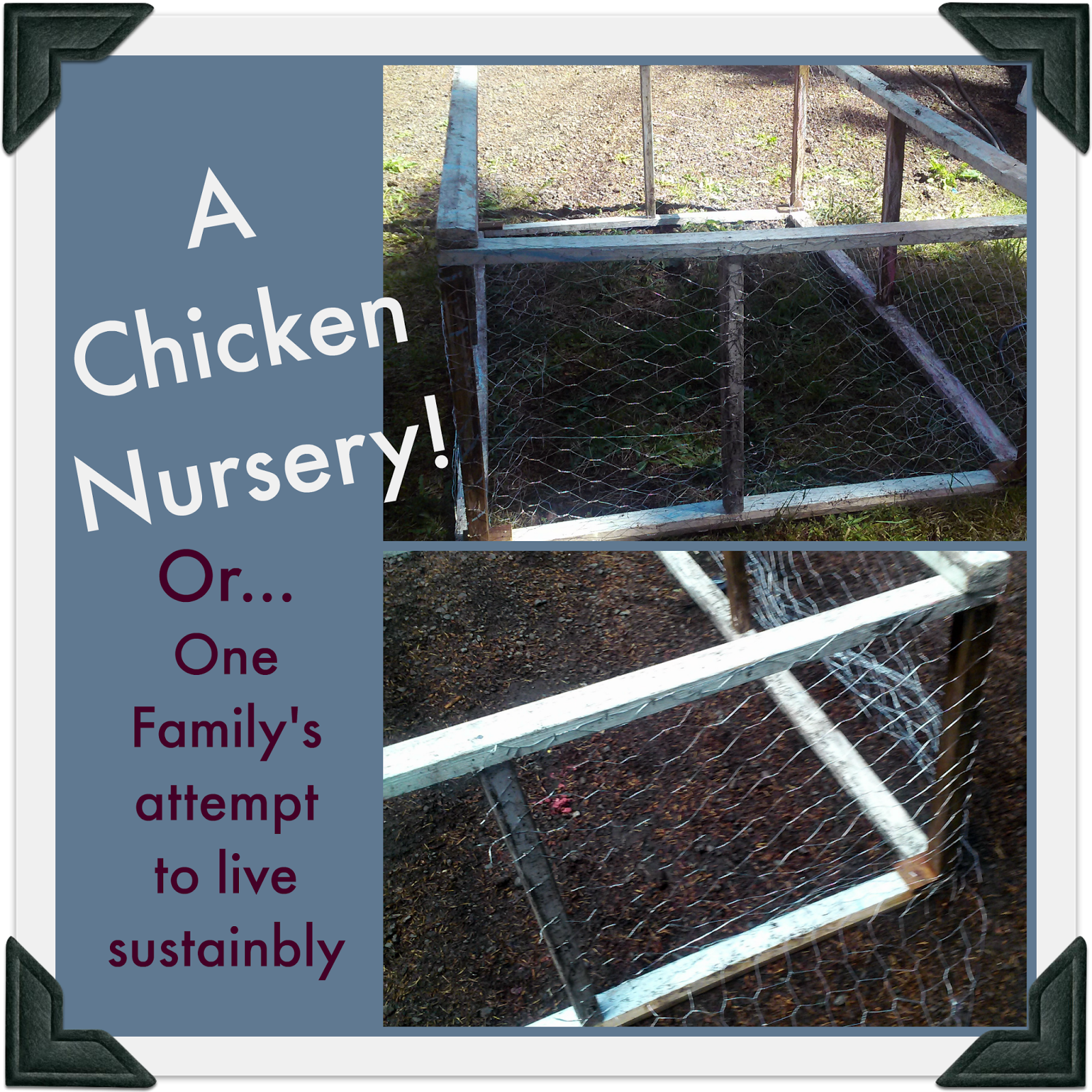 Garden Tenders: A FOWL Update!