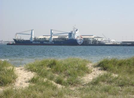 Port Focus: Why is Beluga Projects at Station Pier day after day?