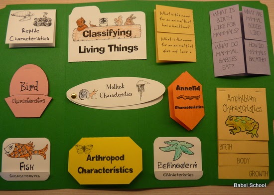 Animals Classification Lapbook