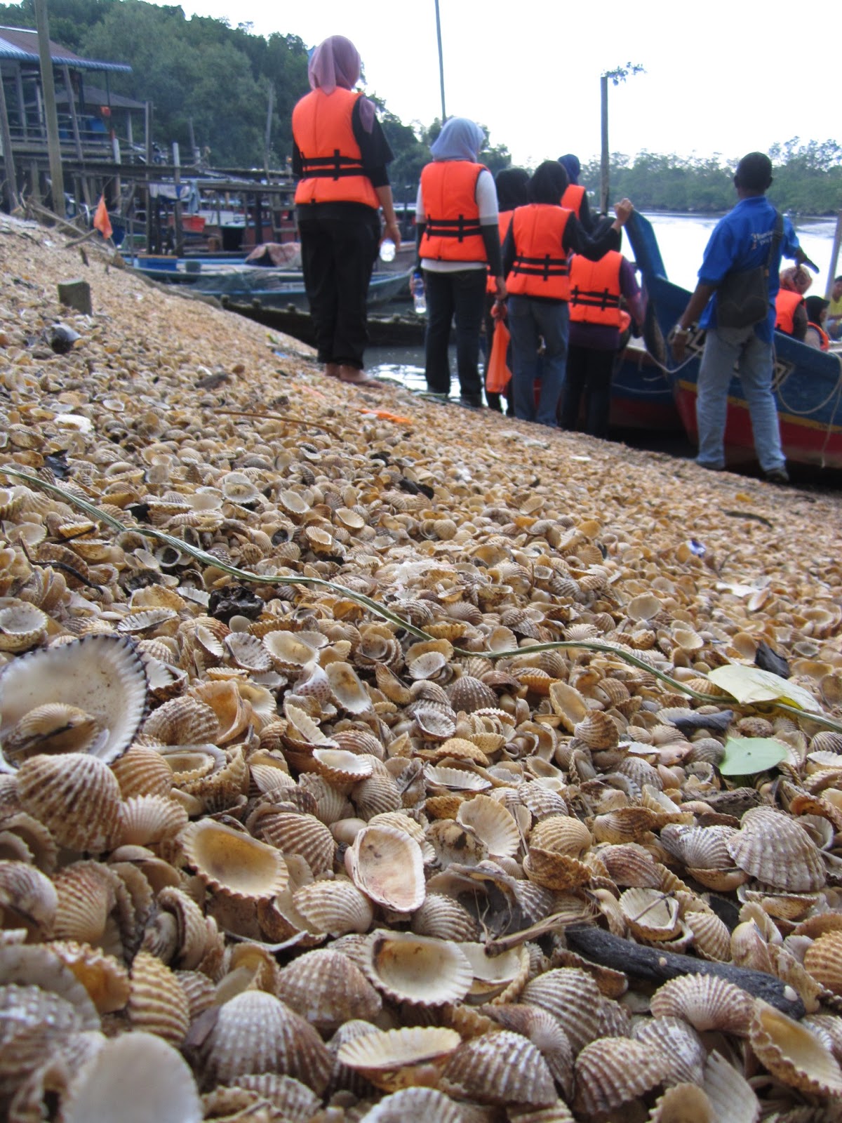 CooKiNG wITh LoVe...: Skuad Pencari Kerang~