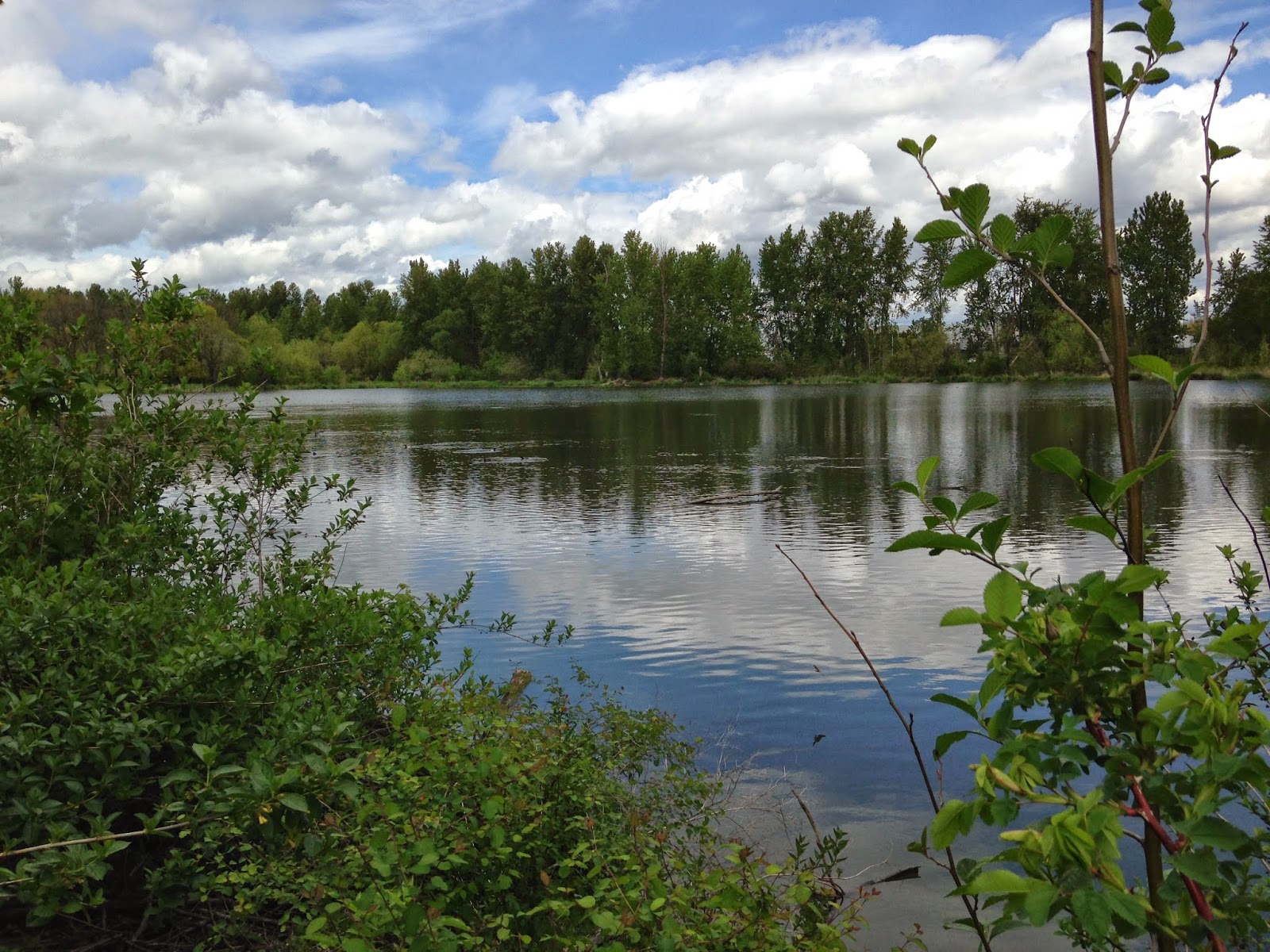 Girl Meets Slough: Getting To Know My Watershed