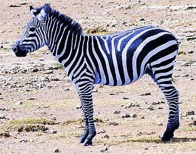 Εκόμισα εις την Τέχνη: Οκτωβρίου 2012