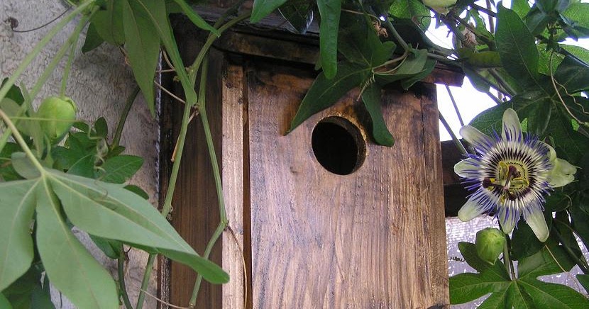 Heike Querbeet: Ausgeflogen!