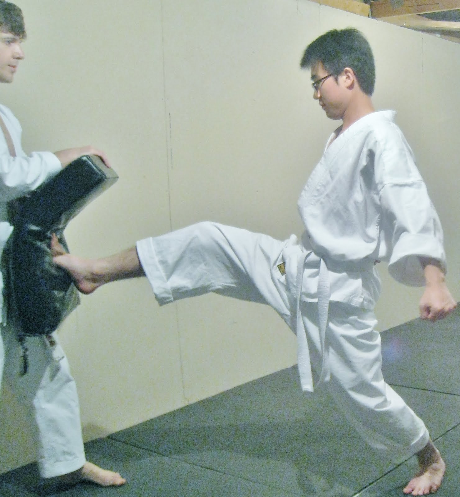 André Bertel's Karate-Do: Form & Application Together: MARTIAL ARTS KARATE