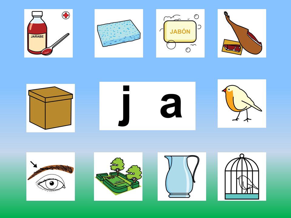 U.S.A.E.R 12 : FONEMA X