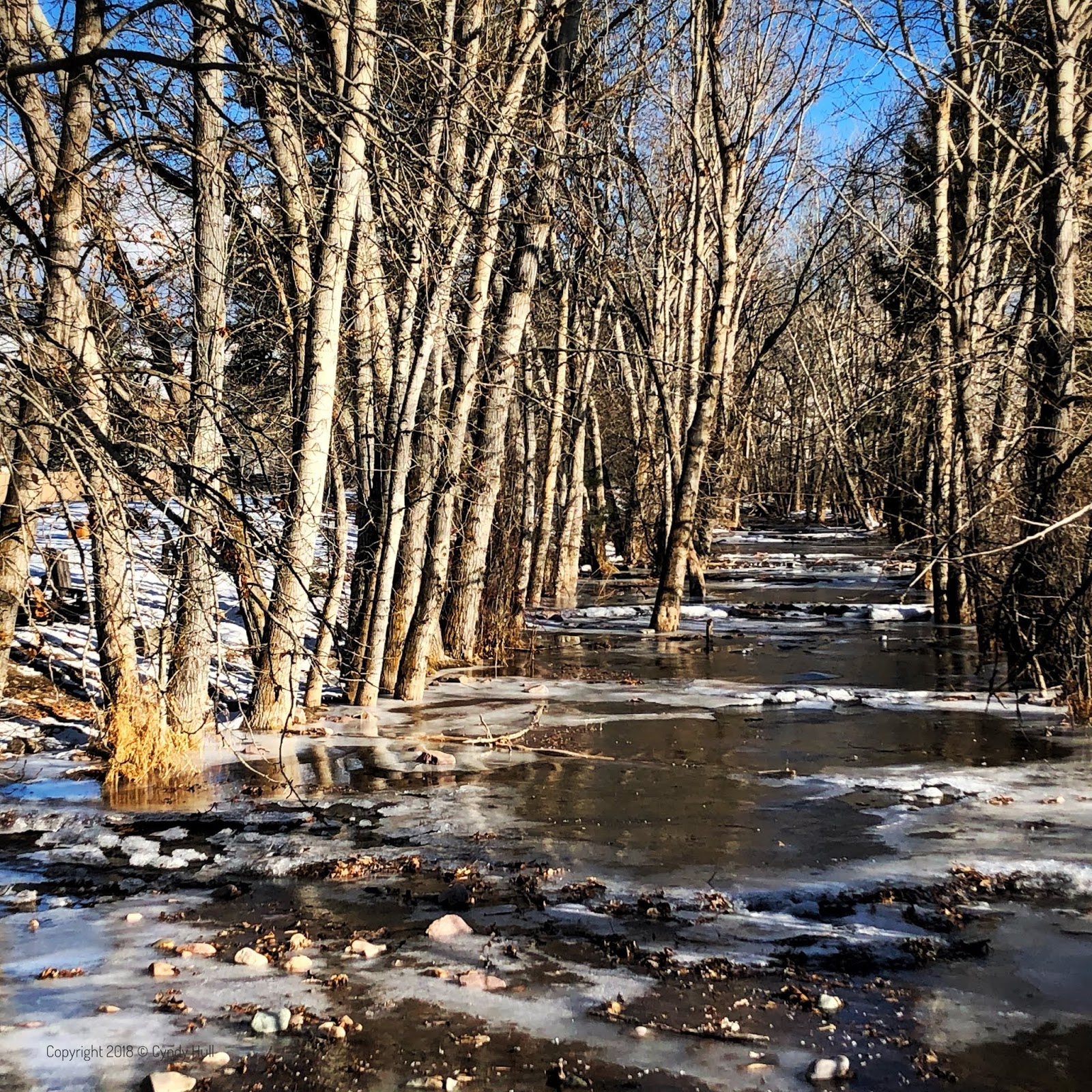 Montana 1 a day.com: 7 Degrees Below - On Grant Creek, Missoula, Montana