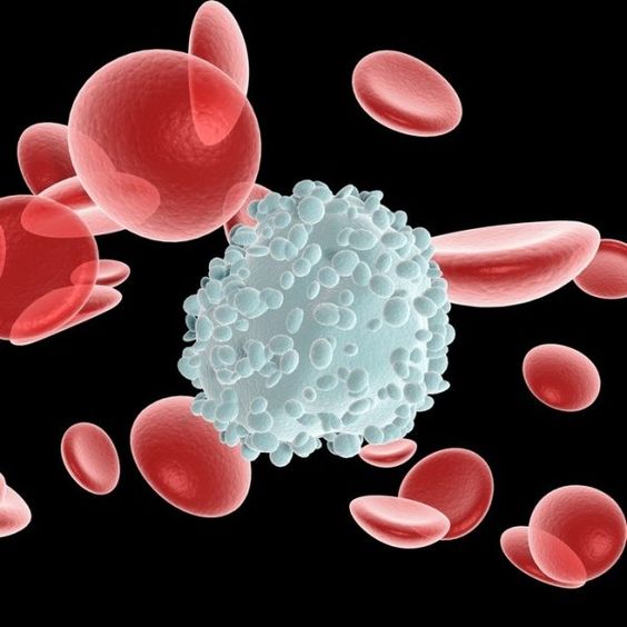Fertility Biocenter: Genetic code of red blood cells discovered