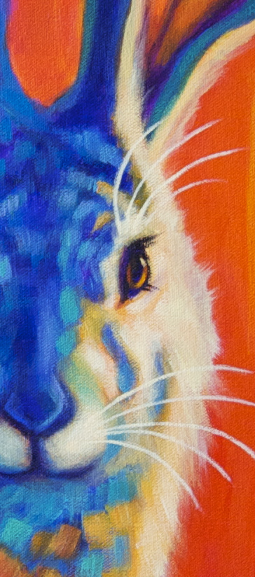 Daily Painters of California: Jack Rabbit in Southwest Colors by ...