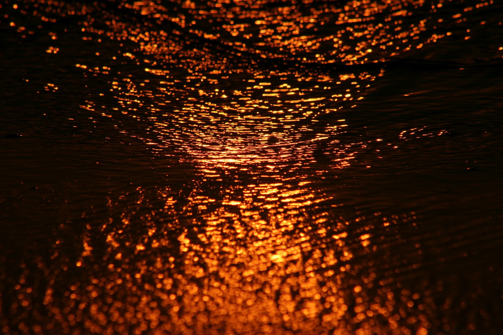 * Arturo Almanza *: Creative Commons