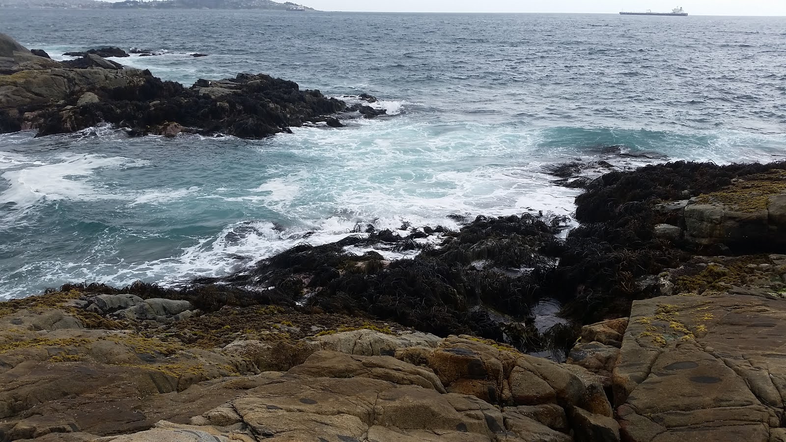 Marine Sediments: Lecture: Deep sea sediments