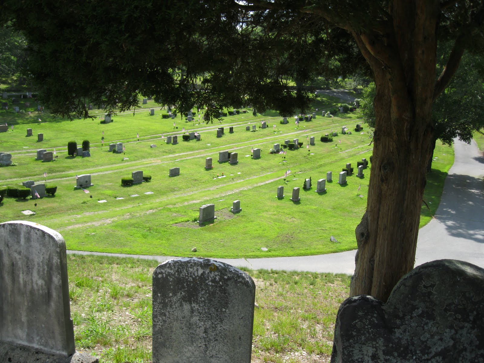 THE OLD COLONY GRAVEYARD RABBIT: FERN HILL CEMETERY HANSON, MA.