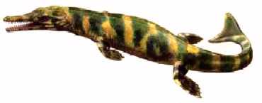 Reptossaurus: METRIORHYNCHUS