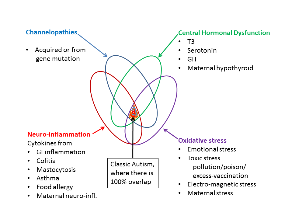 Epiphany: The Knudson Multiple Hit Hypothesis in Cancer, leading to the ...