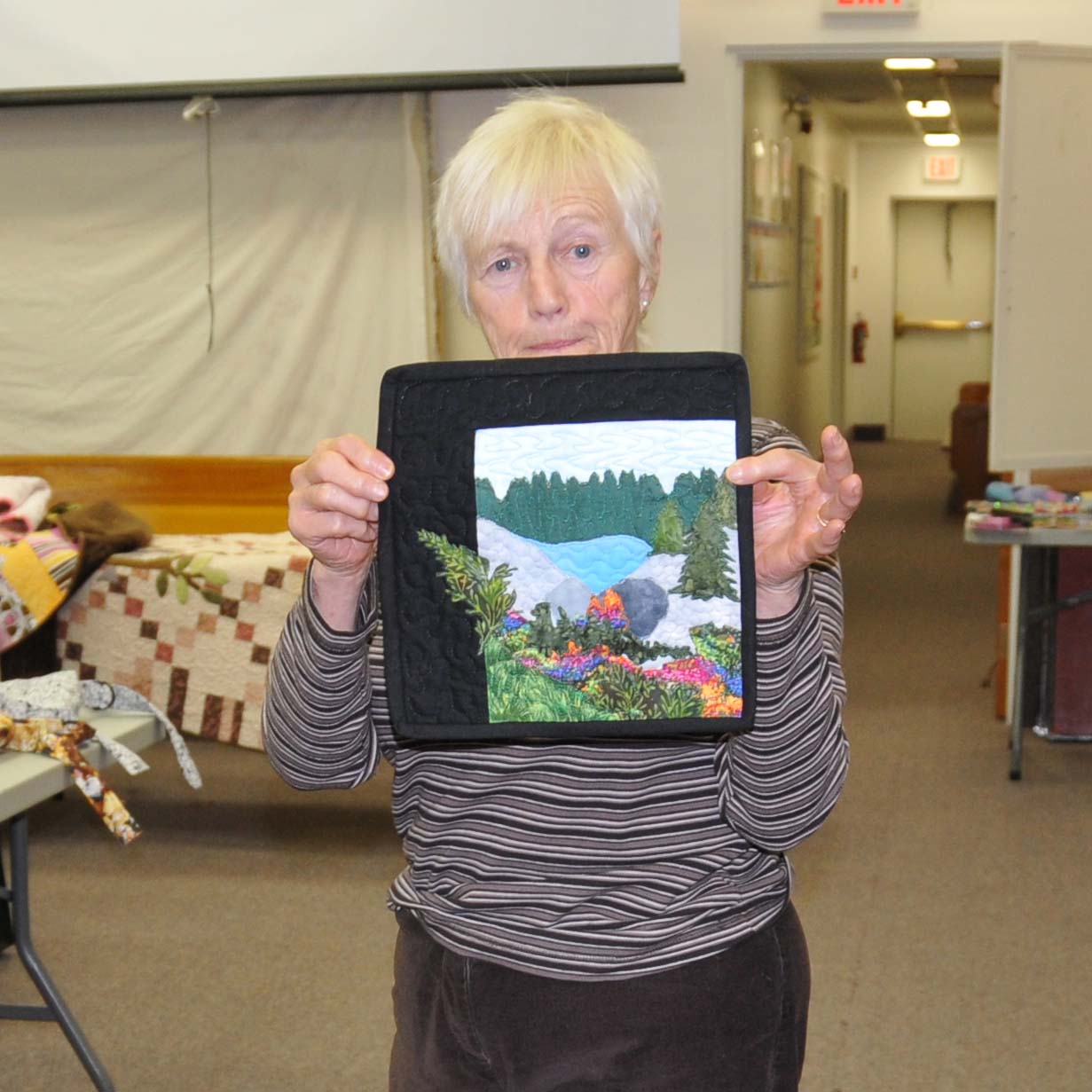 North Star Quilt Guild News: November 2012