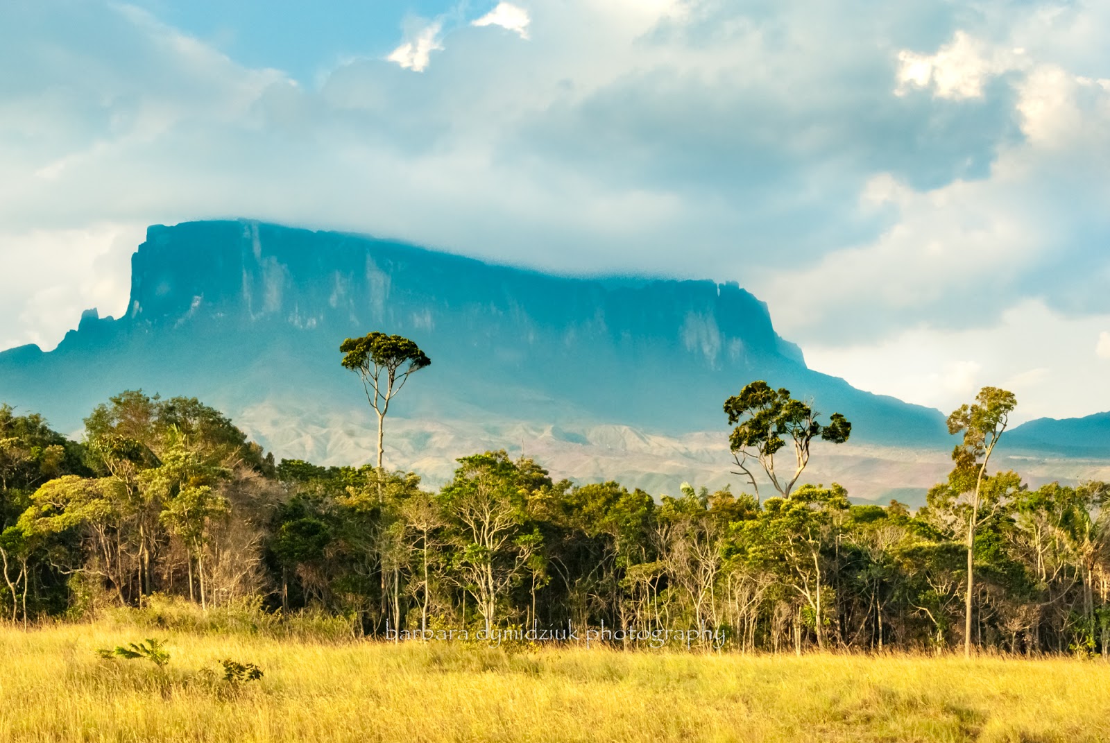 barbara dymidziuk photography: Wenezuela / Venezuela