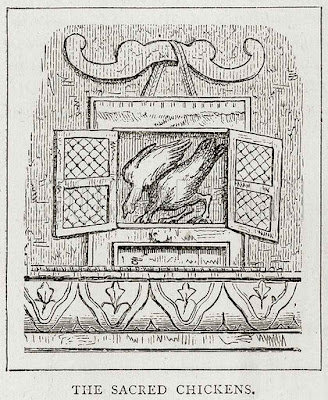 The Sacred Chickens of Ancient Rome | Root Simple