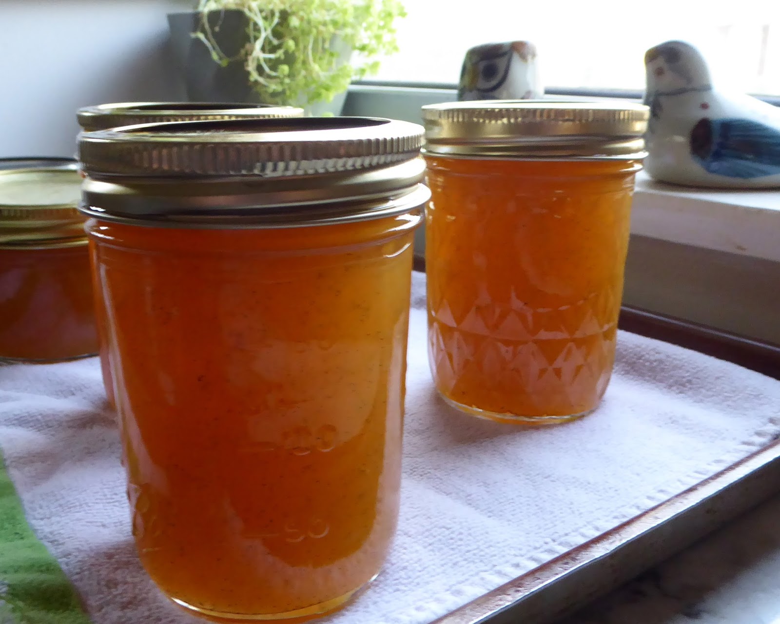 Susan Can Cook: Meyer Lemon and Vanilla Jam