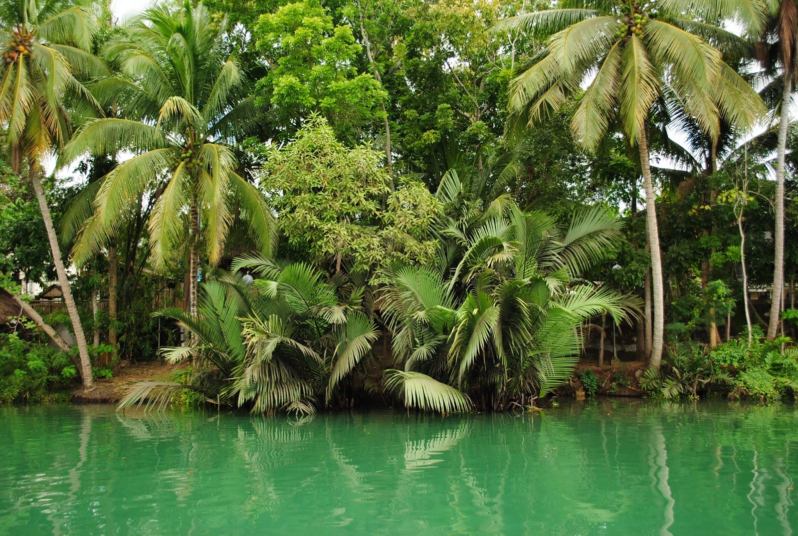 Backpacking Pilipinas: Summer Series: Top 5 Reasons to Love Bohol