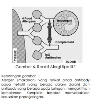 Reaksi Hipersensitivitas Tipe III
