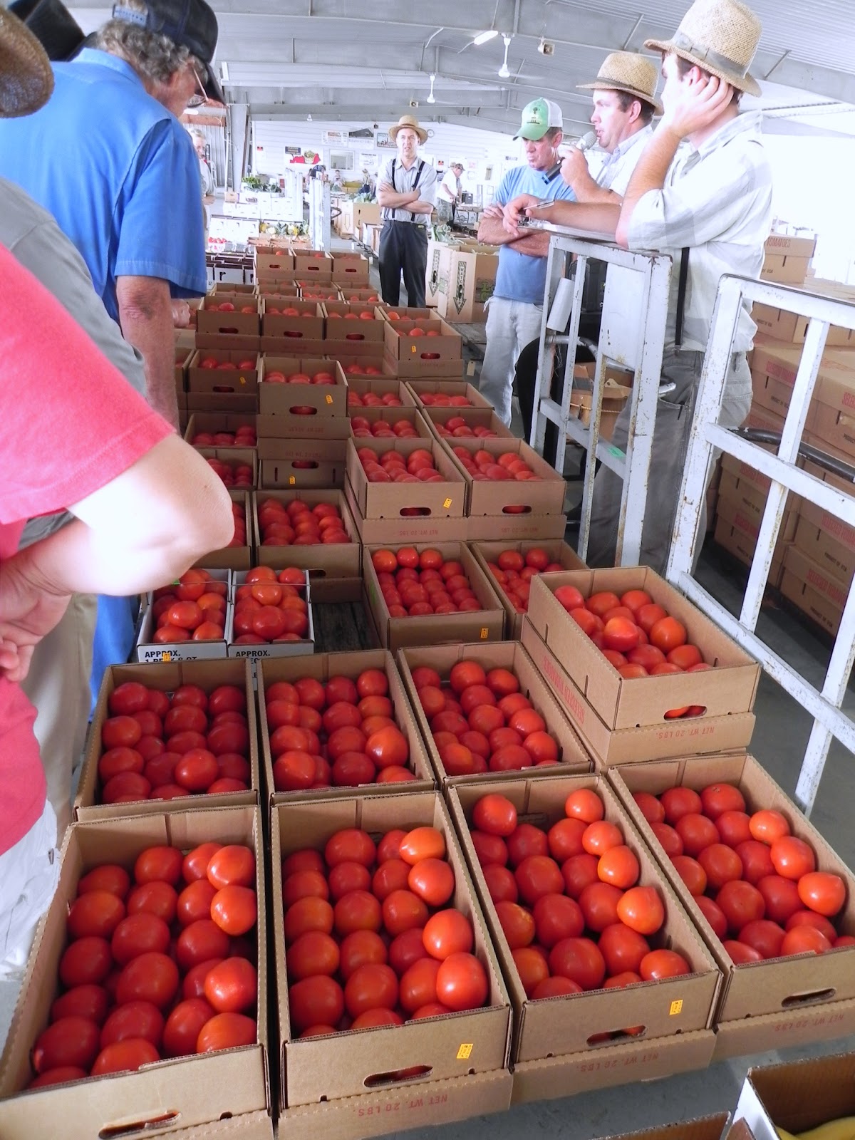 Gone Walkabout 2: Veggie Overload at the Amish Produce Auction