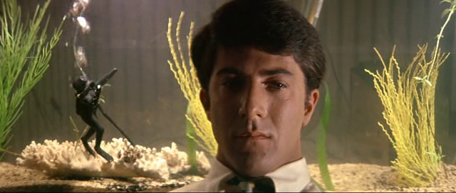 .: The Graduate film stills