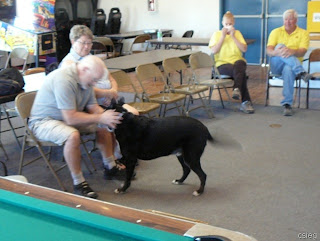 Adventures of Shadow The RVing Dog: K9 Logic was a Success