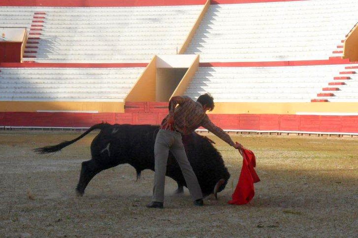 El Redondel Taurino: MÁRIO ALCALDE NOVILLERO ESPAÑOL REALIZA VARIOS ...