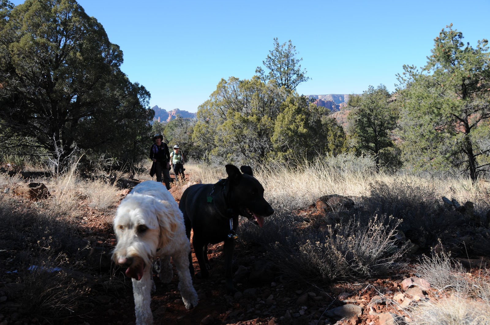 Arizona Hiking: SYCAMORE CANYON WILDERNESS
