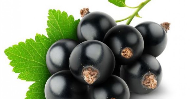 AGRAZ FRUIT S.A.S: BENEFICIOS