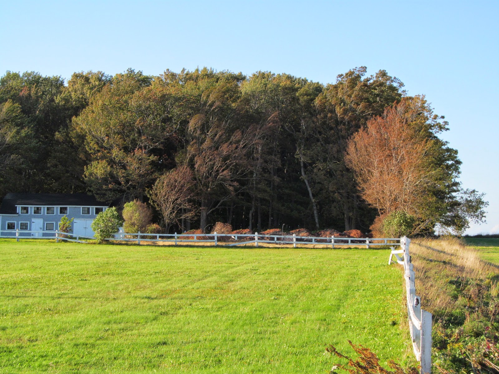 P.E.I. Heritage Buildings: Cairn House, Blue Shank Road - destroyed