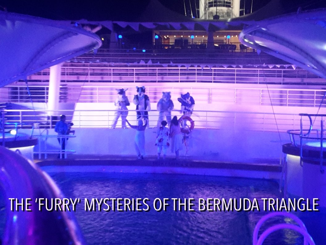 The furry mysteries of the Bermuda Triangle - The Sharonicles