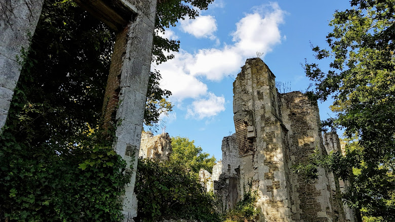 Box Hill 造訪鄉村揪團健行，造訪英格蘭最大的葡萄莊園