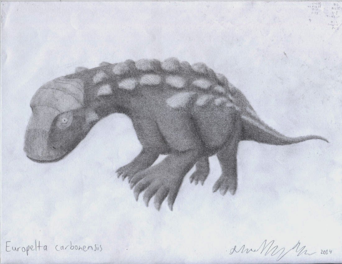 Sounder Art: Europelta carbonensis