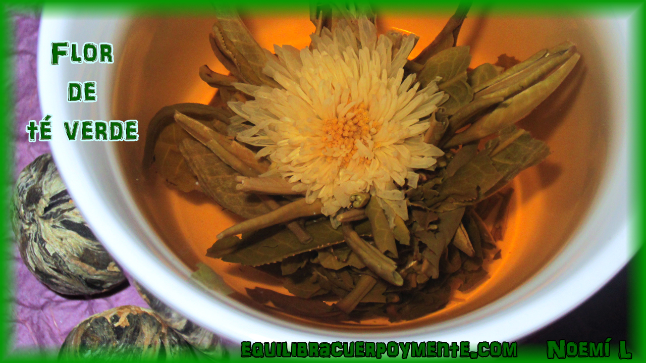 Equilibra cuerpo y mente: julio 2016