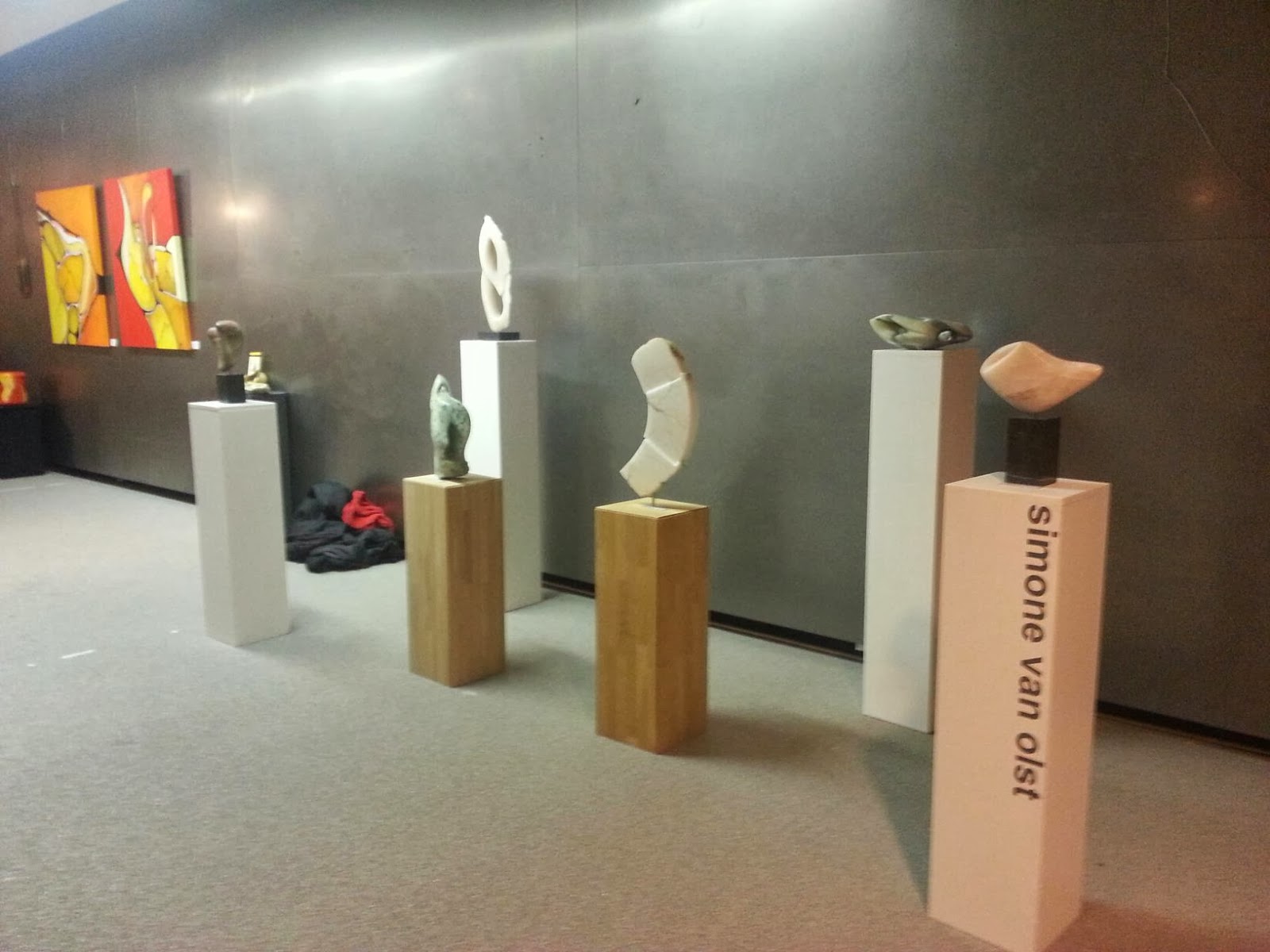 Simone van Olst: Projecten