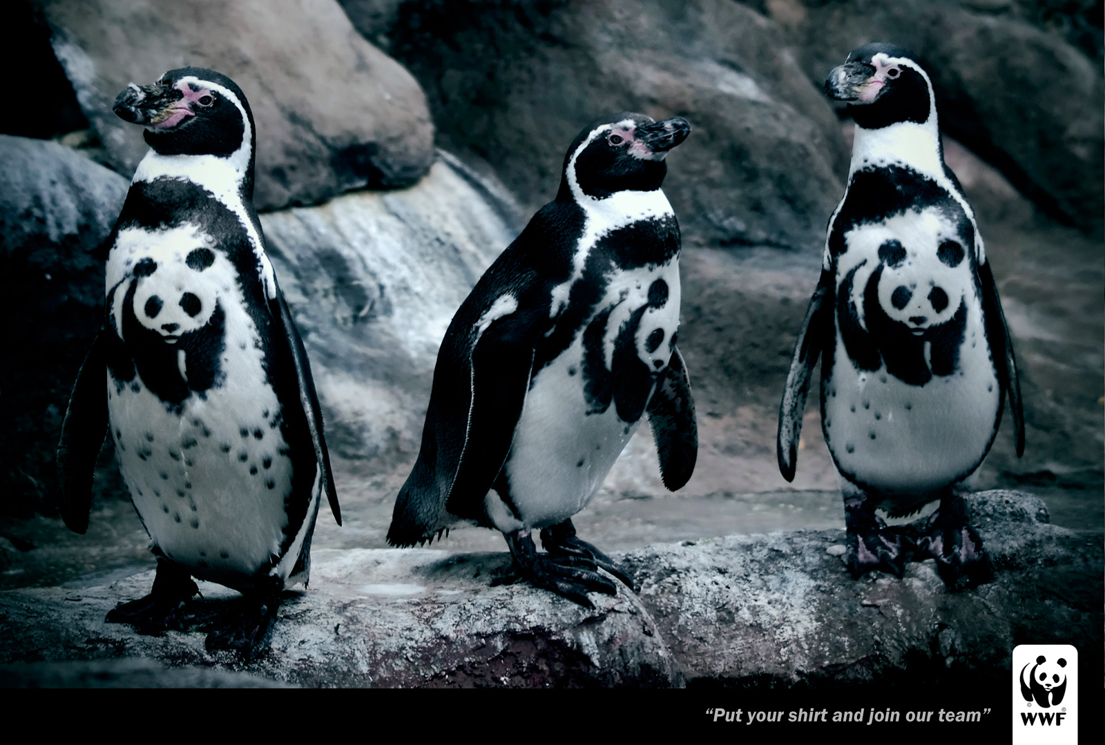 La Vie Digitale: WWF's Brazil Advertising Campaign