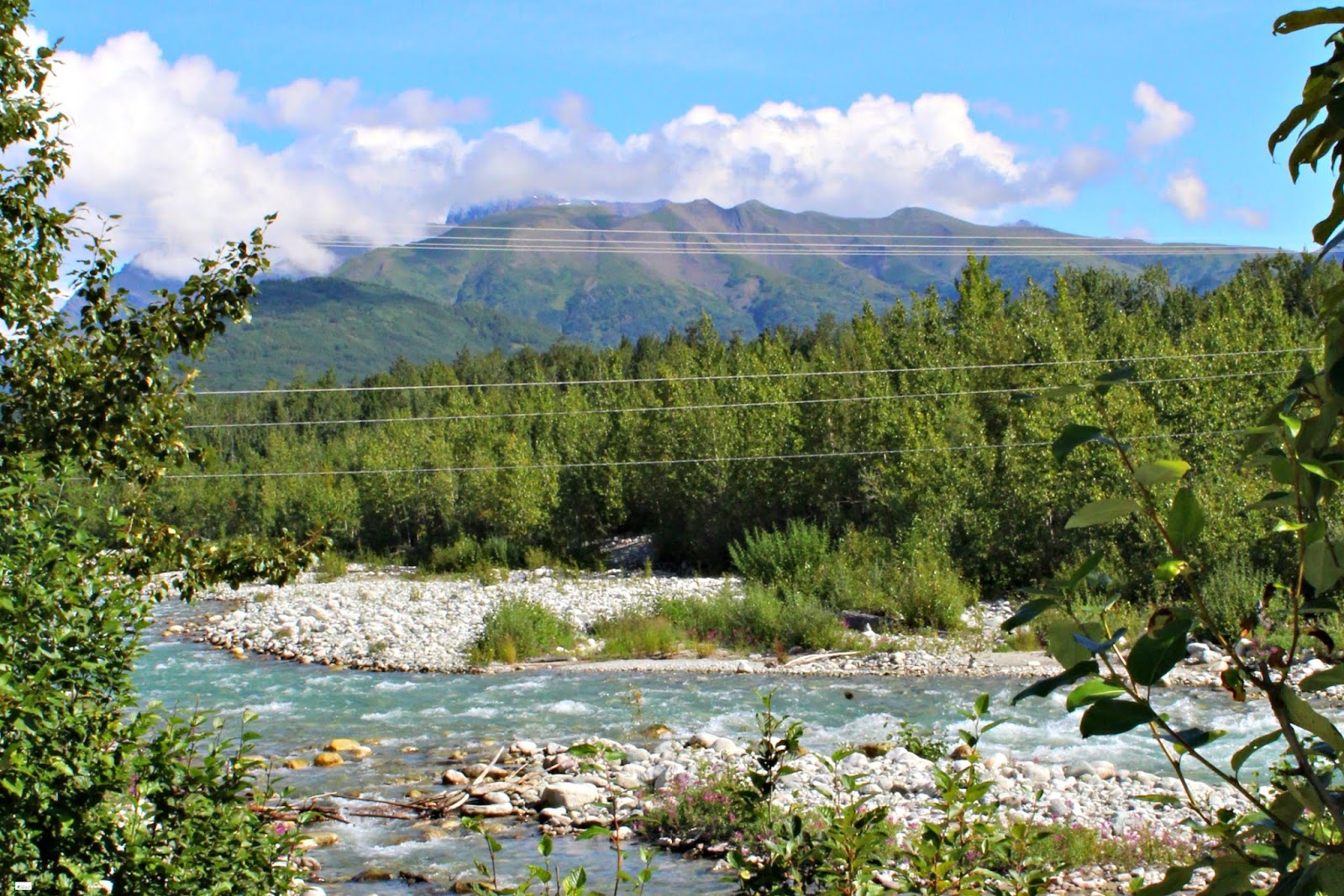 Along the Matanuska River on Alaska 1- South // Alaska | Caravan Sonnet