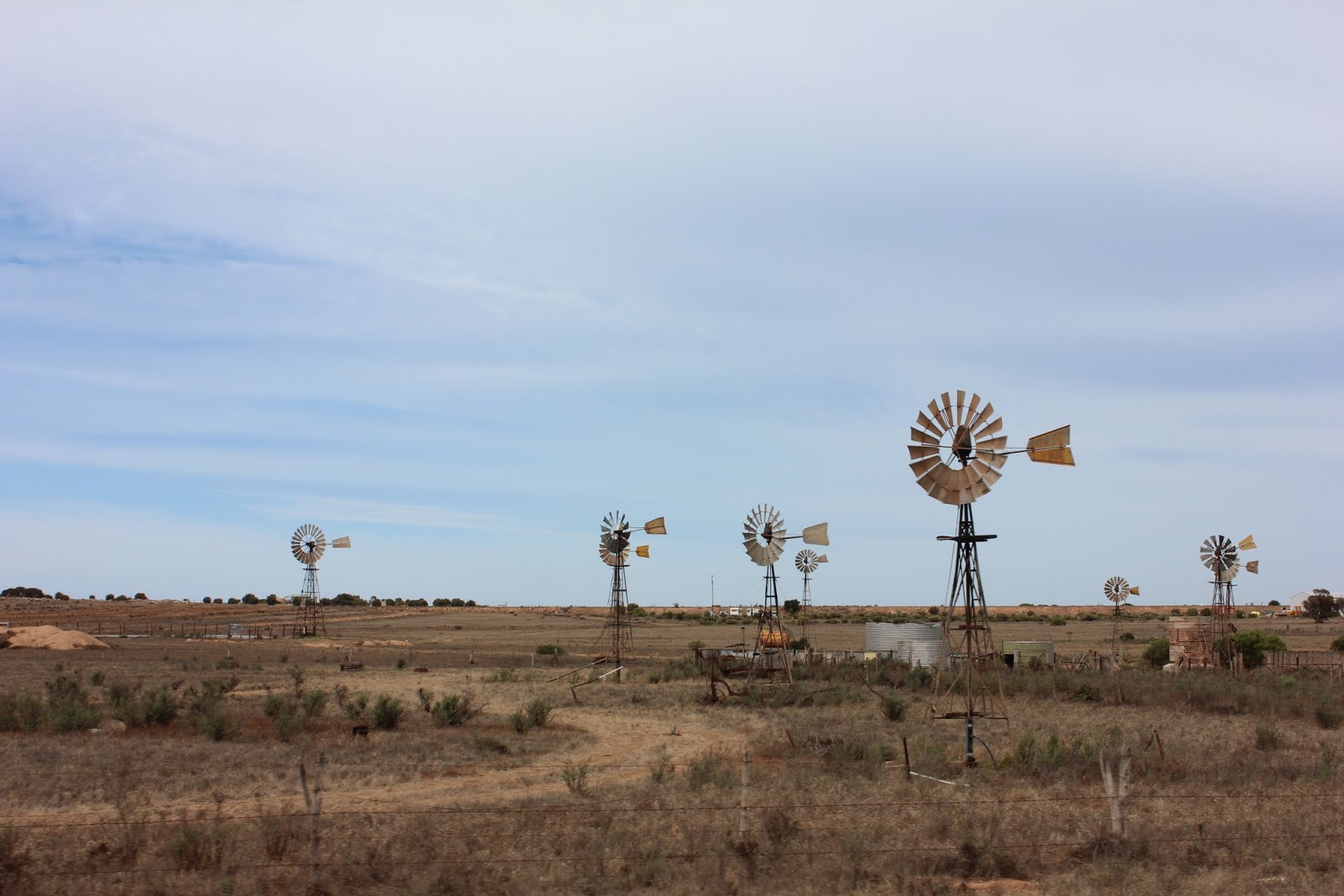 The Ellis Oz Blog: The Great Treeless Plain