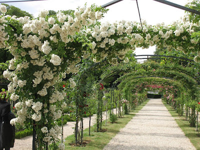 Ile de France Walks: Wednesday 13 June at l'Haÿ les Roses