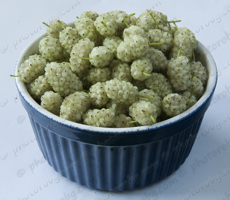 The 3 Foragers: Foraging for Wild, Natural, Organic Food: Mulberry ...