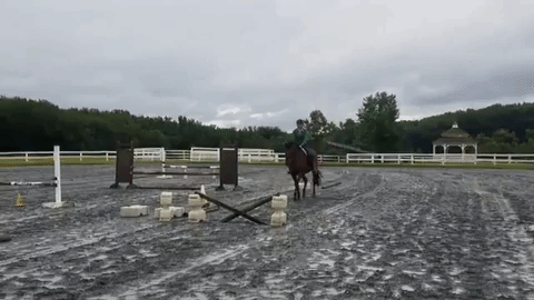 How to Teach Your Horse To Jump