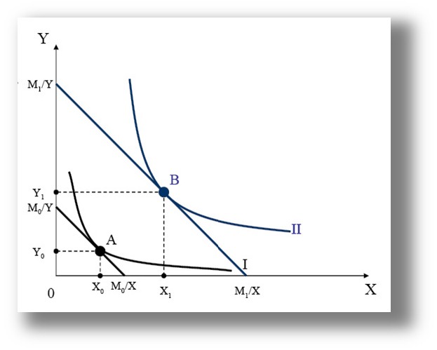 Teori Perilaku Individu