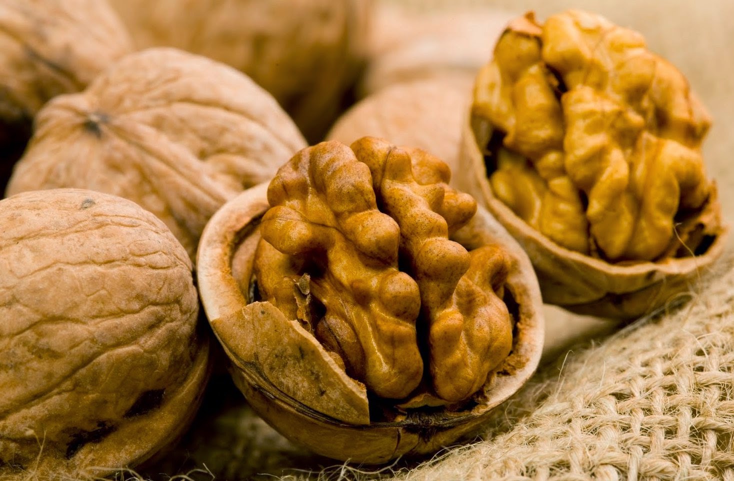 Medieval: Walnuts for Brains